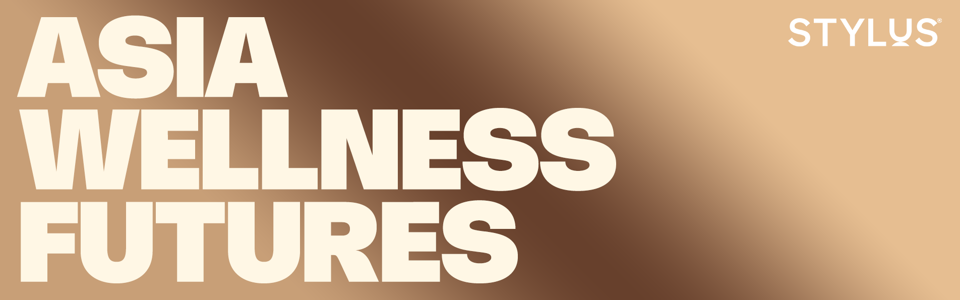 STYLUS: The Trends Intelligence Business